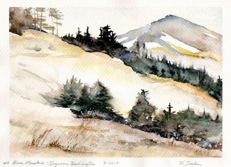 Browse My Watercolor Gallery | V. Saeler Art