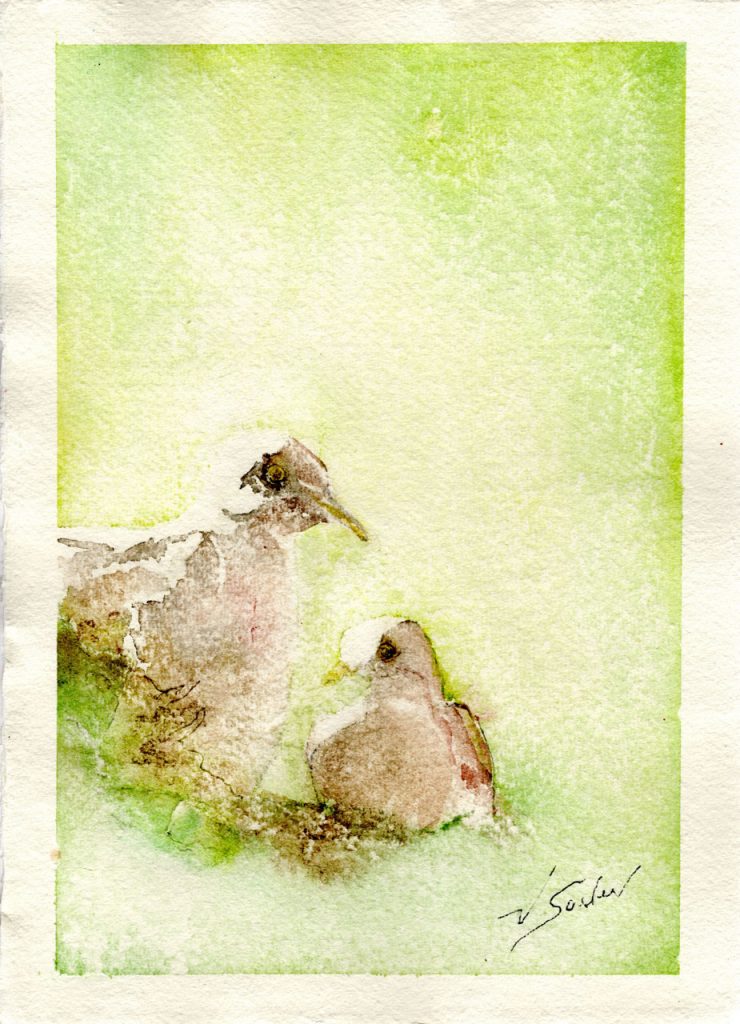 Browse My Watercolor Gallery | V. Saeler Art